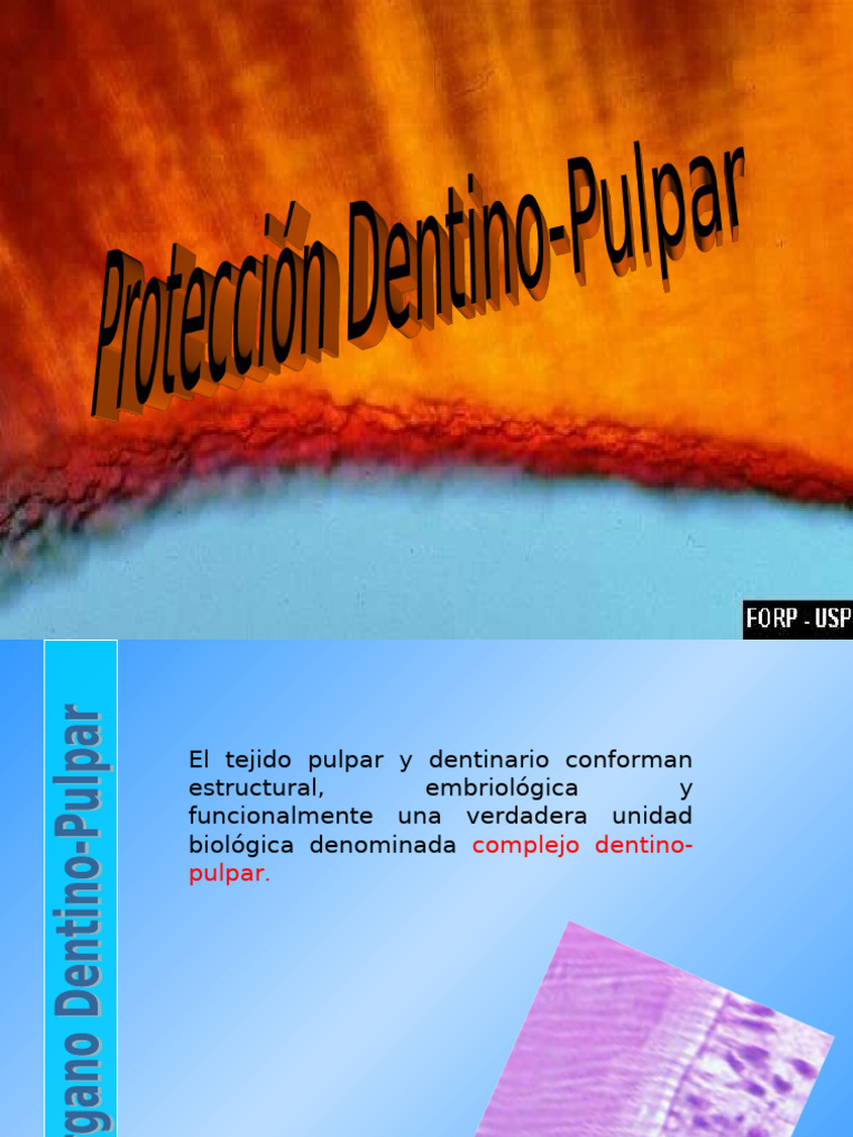 Complejo Dentino-Pulpar y su Salud | PDF | Estudios de idiomas ...