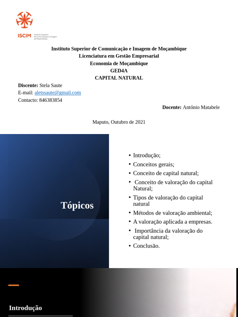 Iscim - Economia de Mocambique - Capital Natural - Saute Stela - 24 de ...
