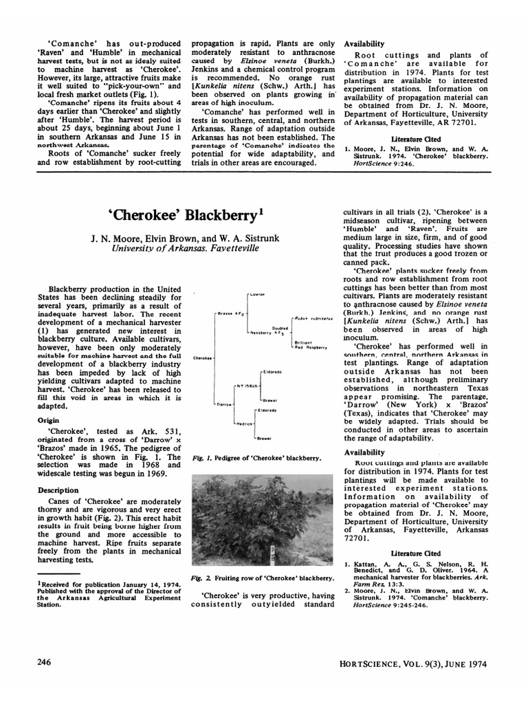 Cherokee Blackberry | PDF
