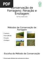 Processo de Produção de Feno | PDF | Feno | Agricultura