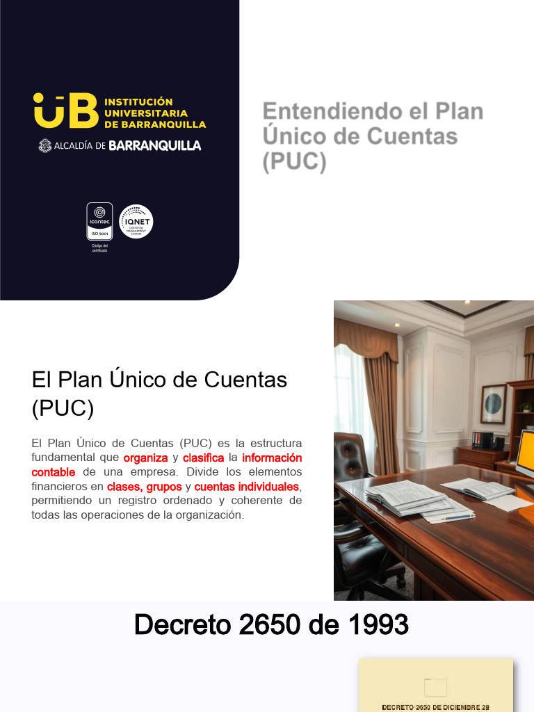 Entendiendo El Plan Unico de Cuentas - 16-10-2024 | PDF | Contabilidad | Business