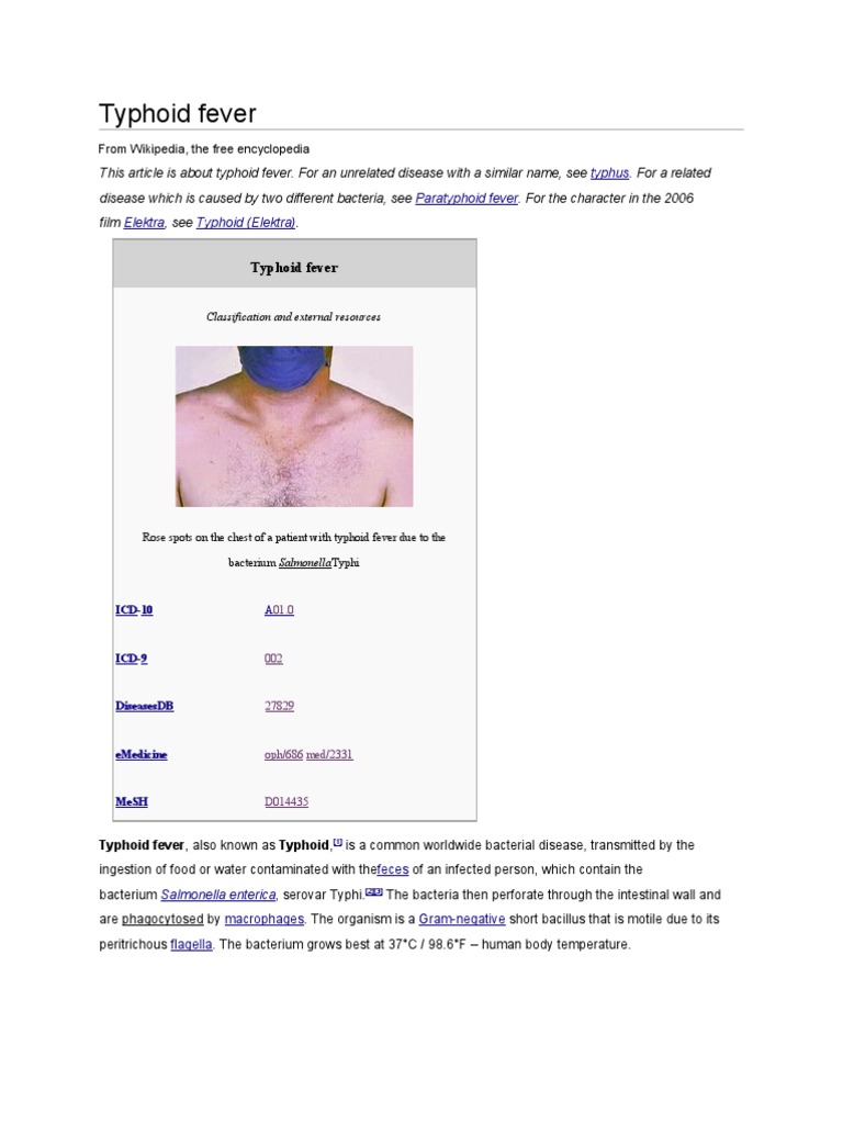 Typhus Paratyphoid Fever Elektra Typhoid (Elektra) | PDF ...