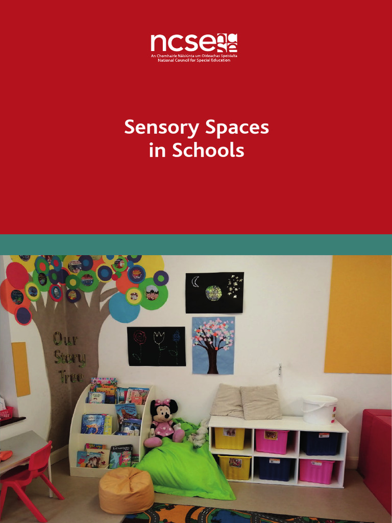 NCSE Sensory Spaces in Schools 2021 | PDF | Senses | Occupational Therapy
