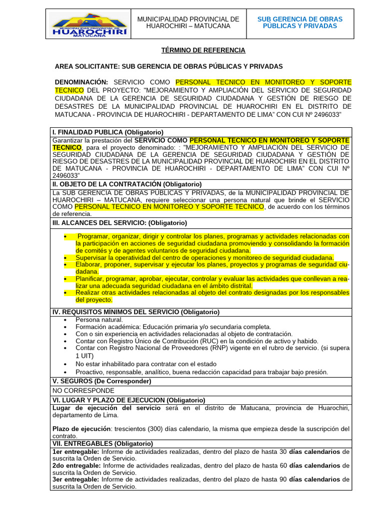 11 TDR Personal Tecnico en Monitoreo y Soporte Tecnico | PDF
