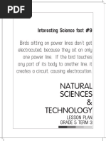 EMS Lesson Plans Grade 7 Term 3 | PDF | Advertising | Consumer Behaviour