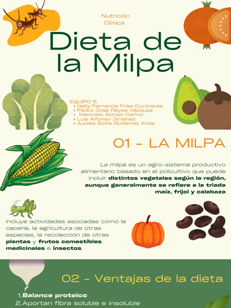 Dieta de La Milpa | PDF