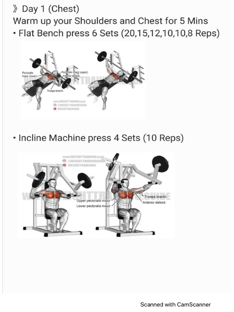Chest Workout | PDF