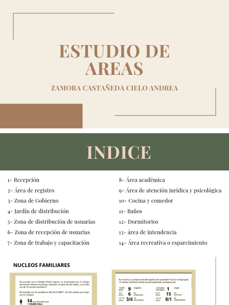 Estudio De Areas Zamora Pdf Accesibilidad