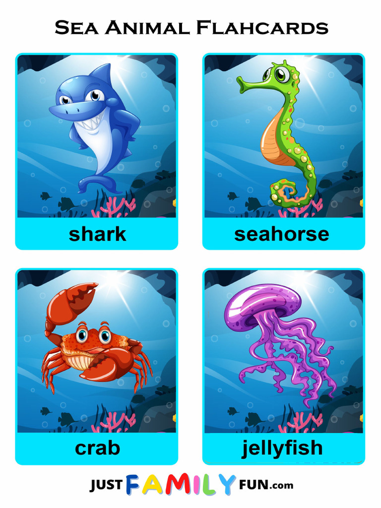 Sean Animals Flashcards | PDF