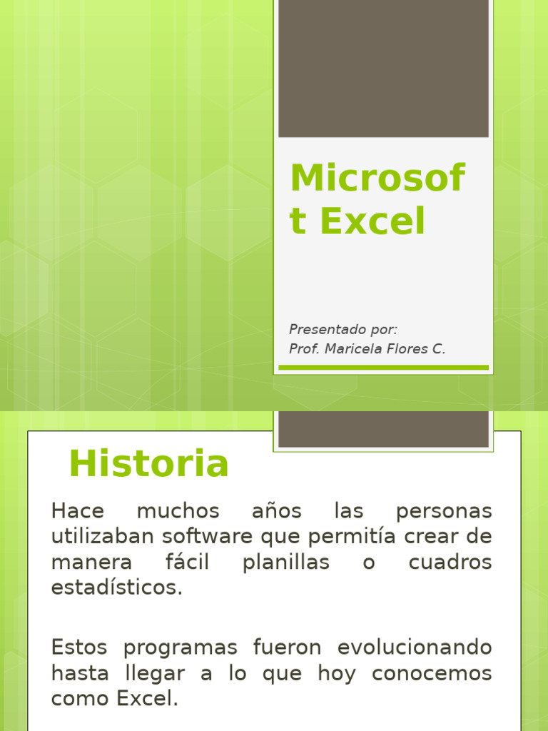 Conceptos Básicos de Excel | PDF
