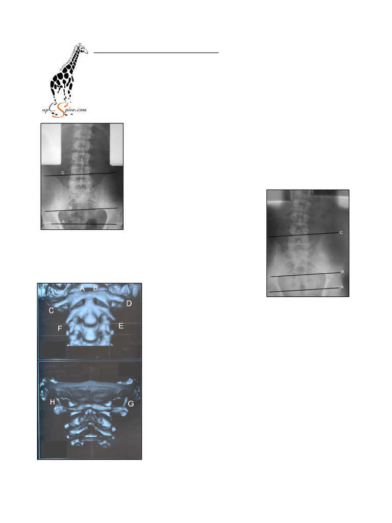X Ray Blair | PDF | Chiropractic | Electromyography