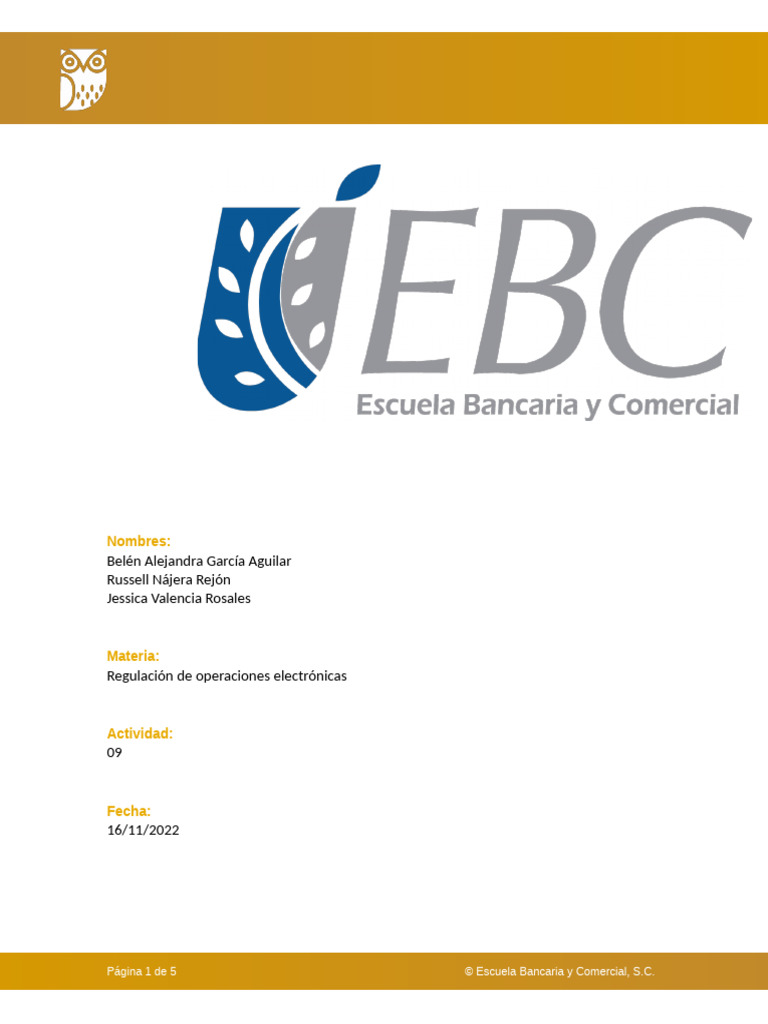 Regulaci N de Operaciones Electr Nica 9 | PDF | Los consumidores | Bancos