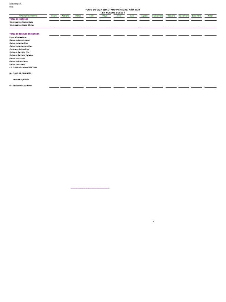 Formato Flujo Caja | PDF