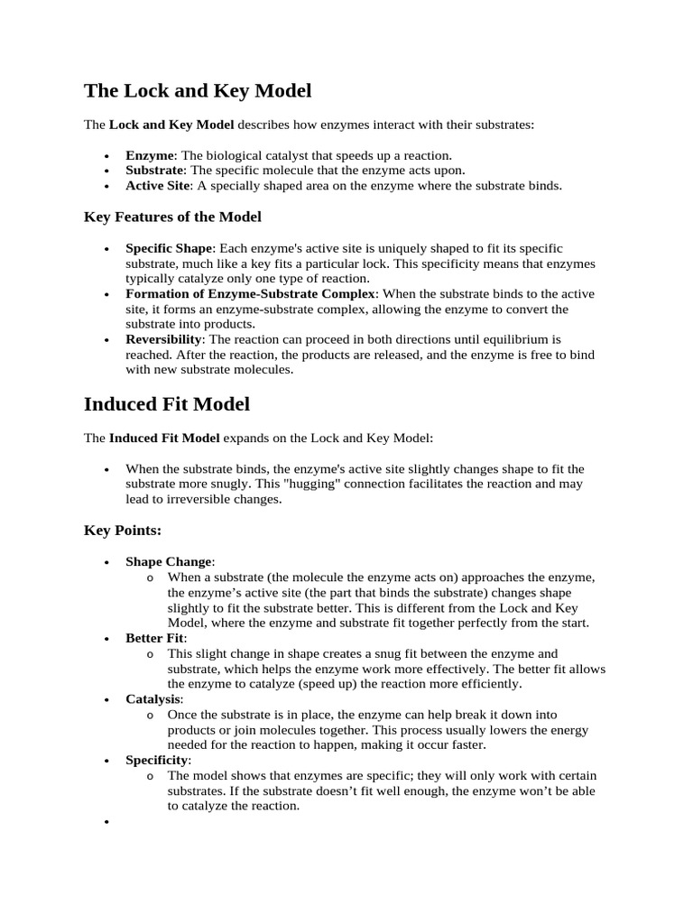 Enzymes (Lock and Key Theory, Induced Fit Model, Activation Energy ...