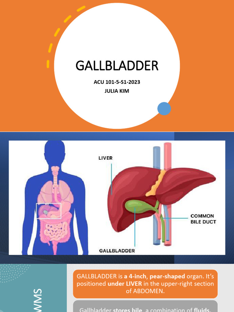 Gallbladder: ACU 101-5-S1-2023 Julia Kim | PDF | Bile | Gallbladder