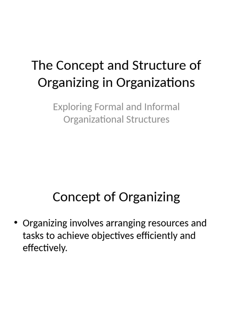 Organizing Concepts Presentation | PDF