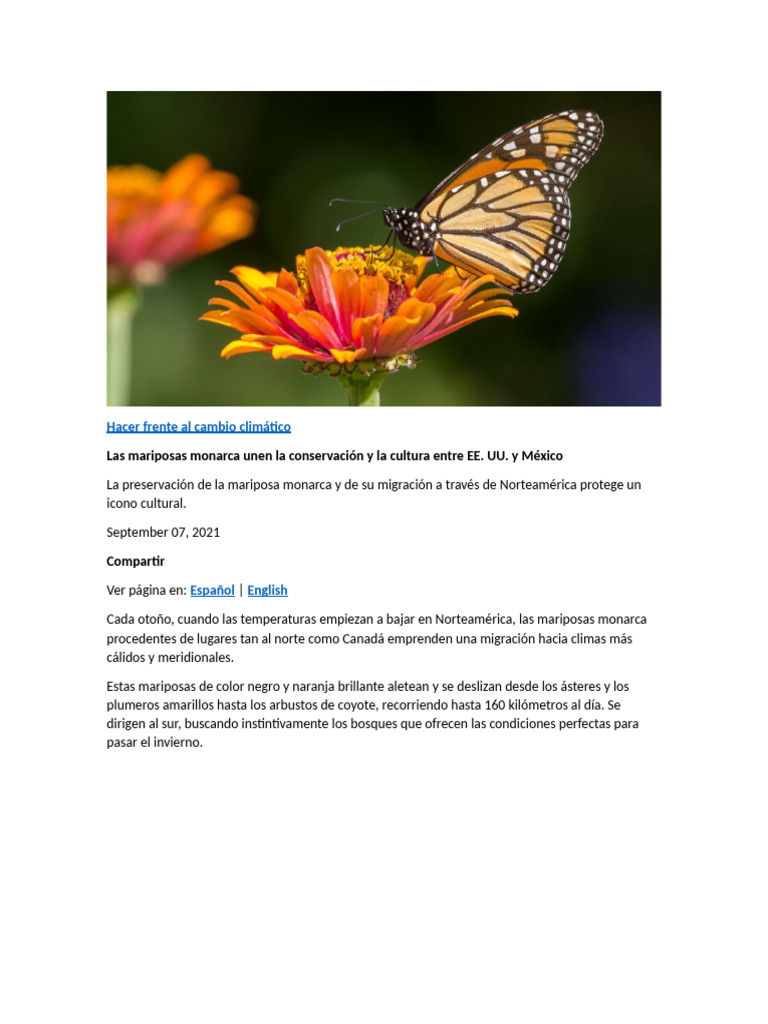 Conservación de la mariposa monarca | PDF | México | Polinización