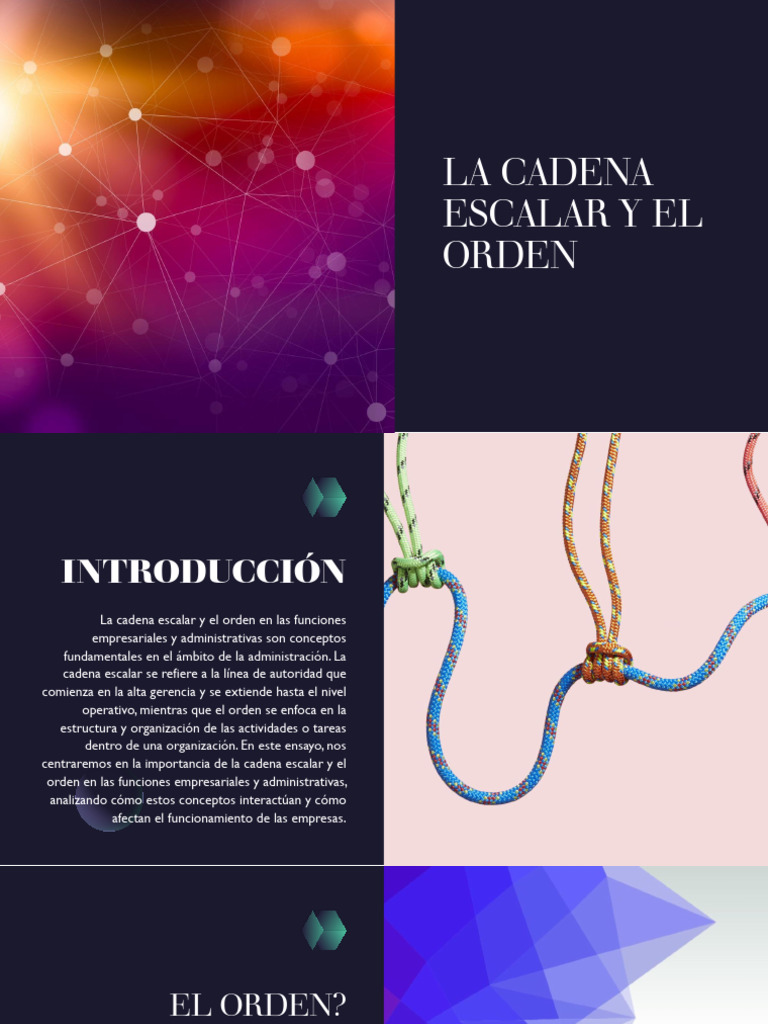 Cadena Escalar y Orden en Empresas | PDF | Business