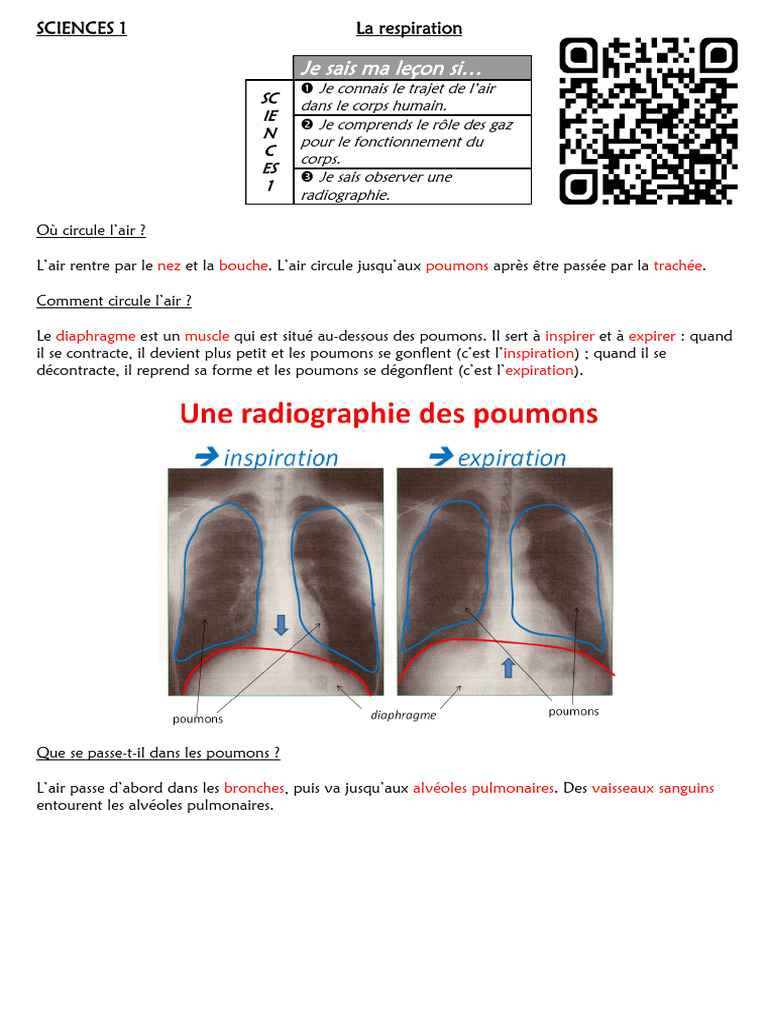 Trajet de l'air dans le corps humain | PDF | Poumon | Respiration