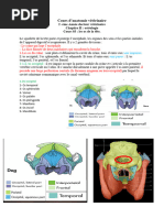 6 - Anatomie Des Os de La Face | PDF | Anatomie humaine | Appareil ...