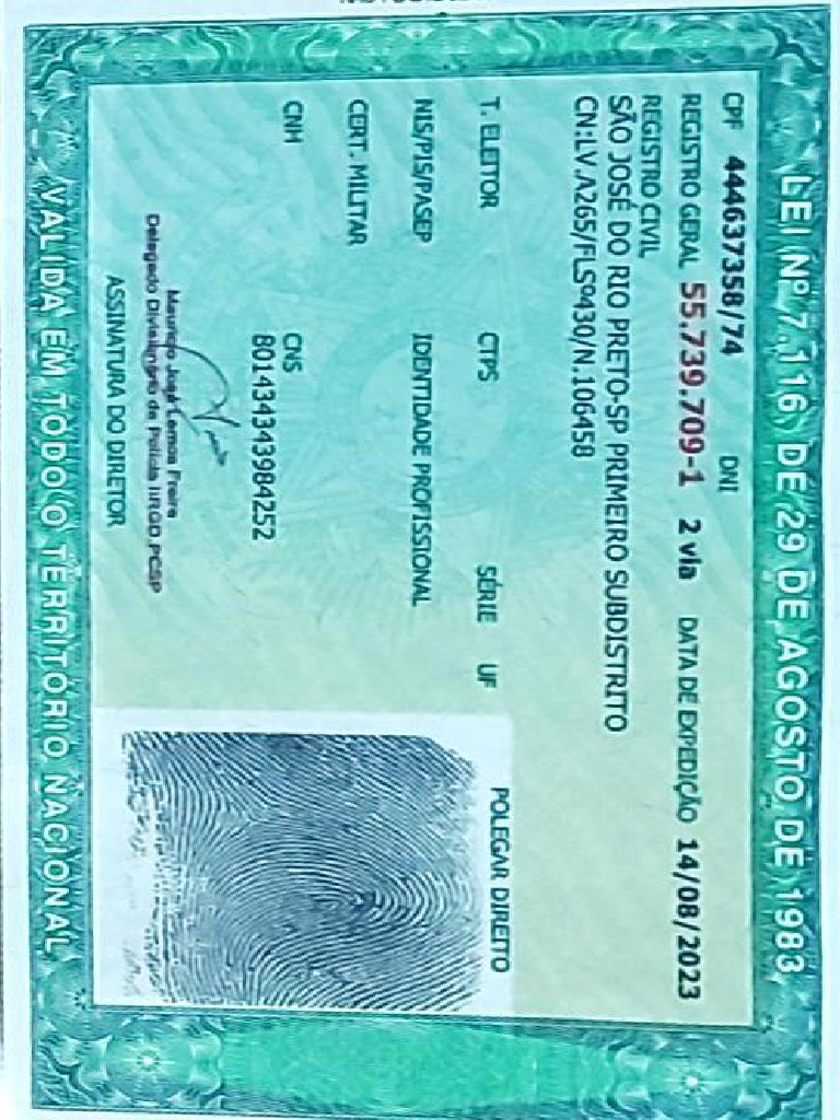 Carteira de Identidade | PDF