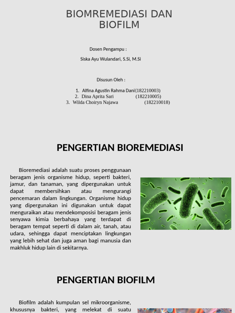 Biomremediasi Dan Biofilm | PDF | Sains & Matematika