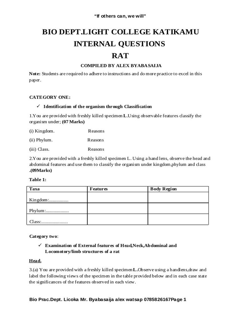 RAT Bio Department | PDF | Anatomical Terms Of Location ...