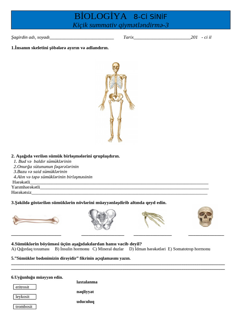 BİOLOGİYA 8 - Ci Sinif KSQ 3 | PDF
