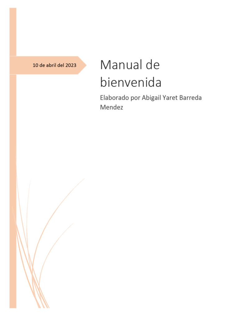 Manual de Bienvenida | PDF | Business | Calidad (comercial)