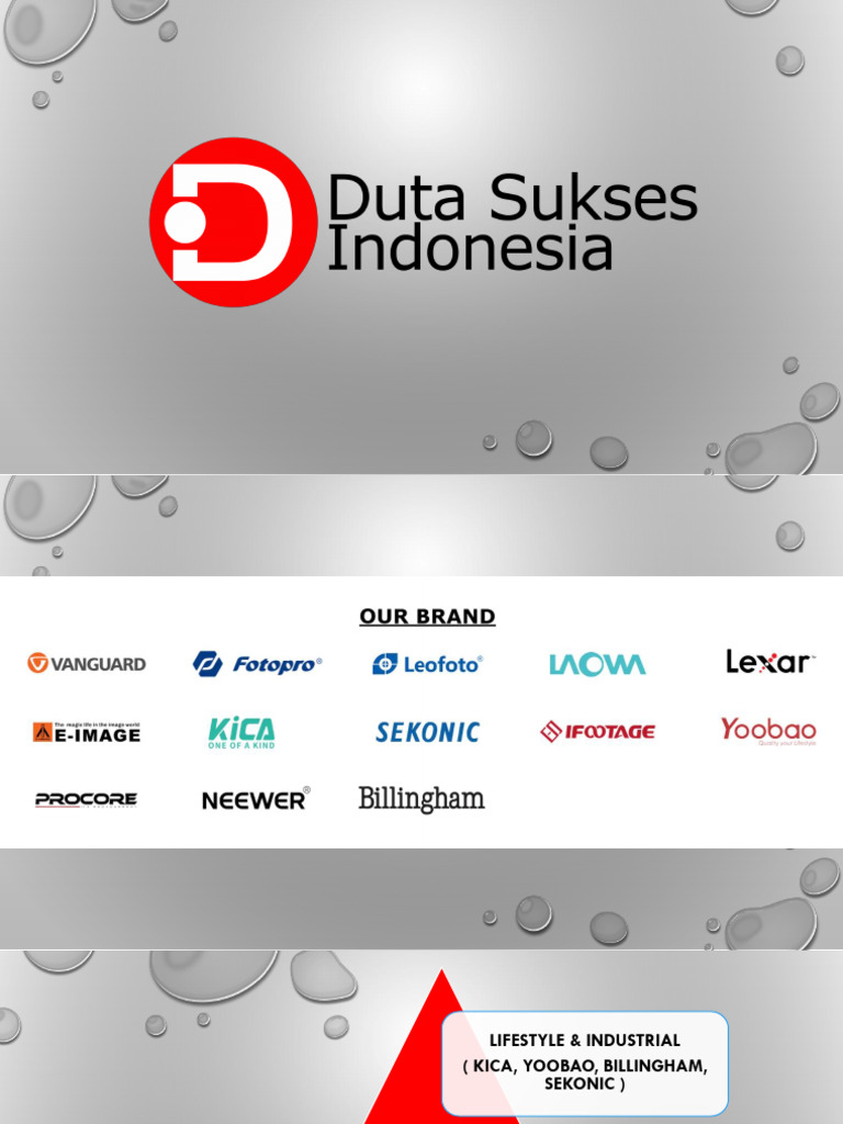 Produk LineUp PT. DSI 2024 | PDF | Camera | Imaging