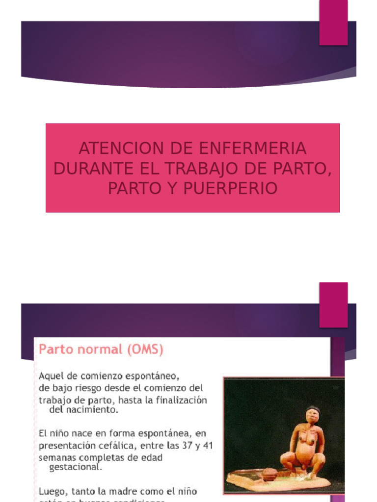Cuidados Durante El Trabajo de Parto, Parto y Puerperio | PDF | Parto ...