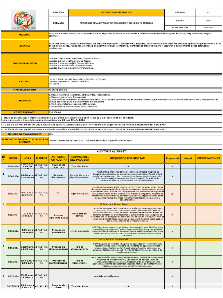 Programa de Pansito | PDF | Auditoría | Business