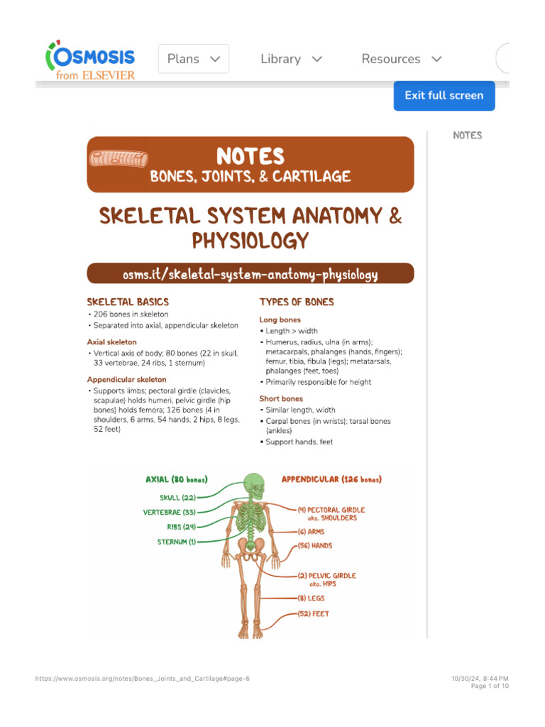 Bones Joints and Cartilage Notes - Diagrams & Illustrations | PDF