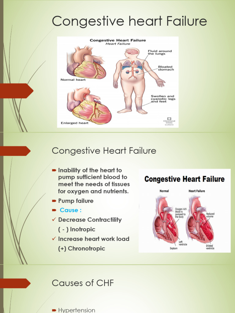 Congestive Heart Failure PDF | PDF | Heart | Heart Failure