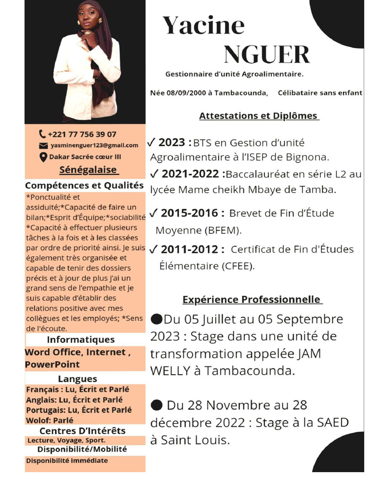 Yacine Nguer CV | PDF