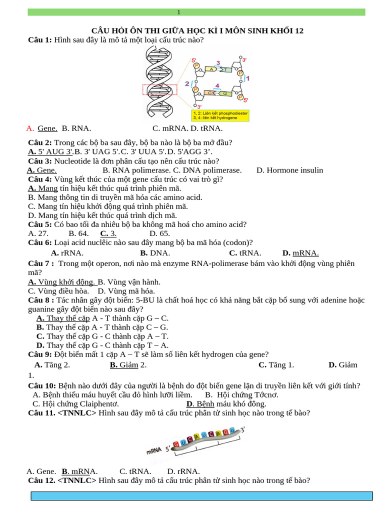 On Thi Giua k1 k12 Da Sua | PDF