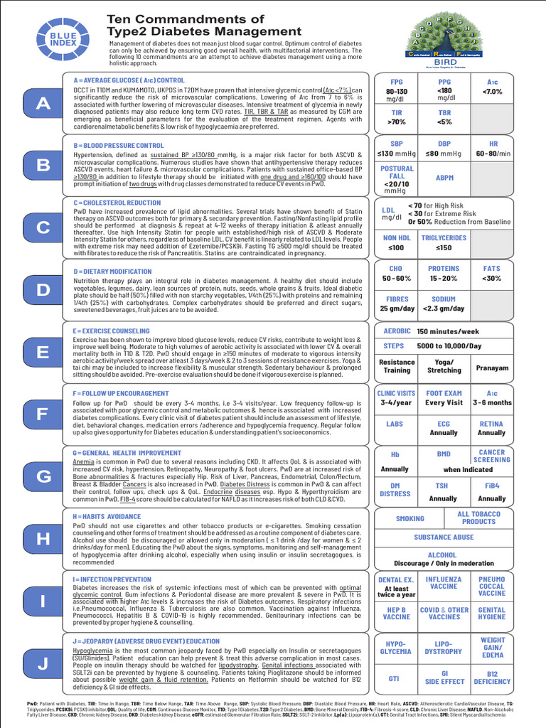 Blue-Index | PDF | Diabetes Management | Diabetes