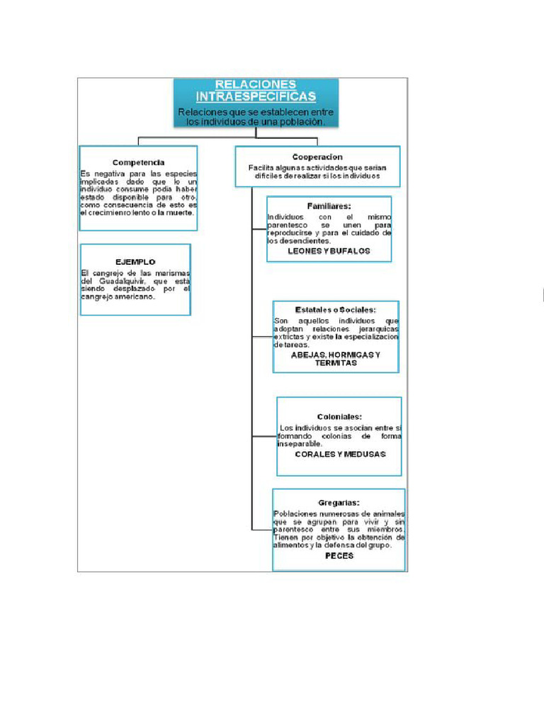 Mapa Mental de Las Relaciones Intra e Interespecificas | PDF