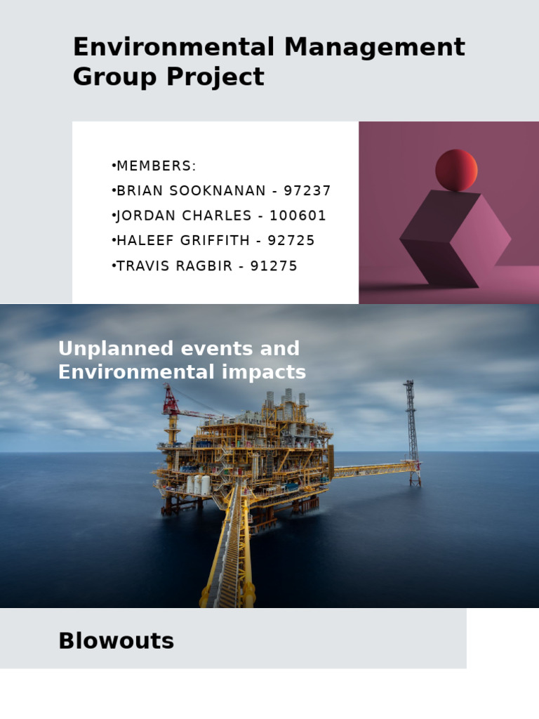 Environmental Management Group Project | PDF | Oil Spill | Blowout ...