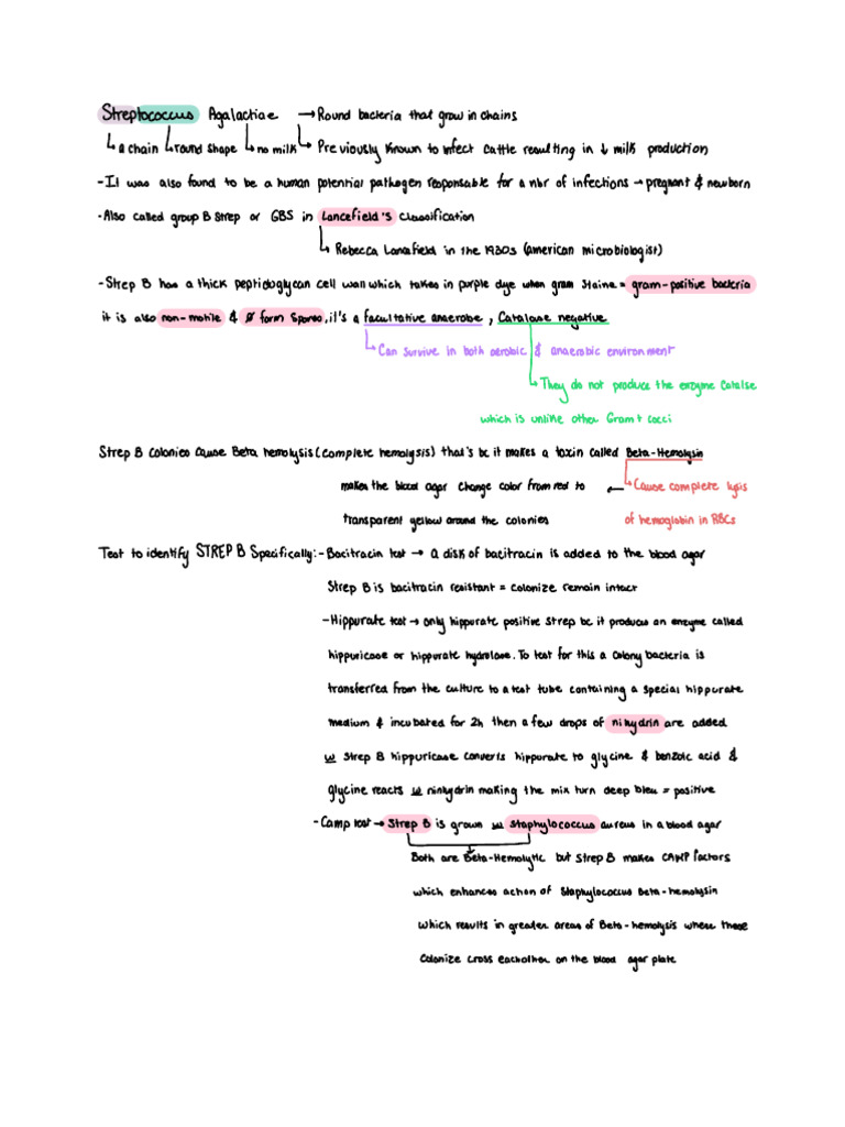 Strep b Infection | PDF | Epidemiology | Medical Specialties