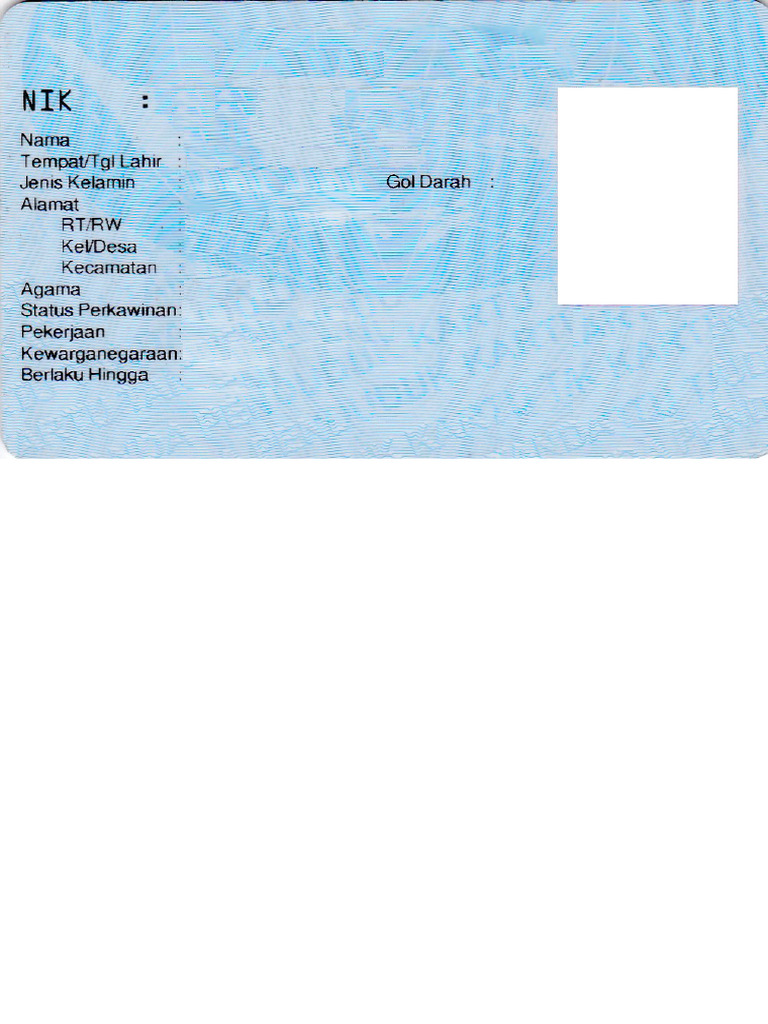 All PDF Reader 20241105 06.50.21 | PDF