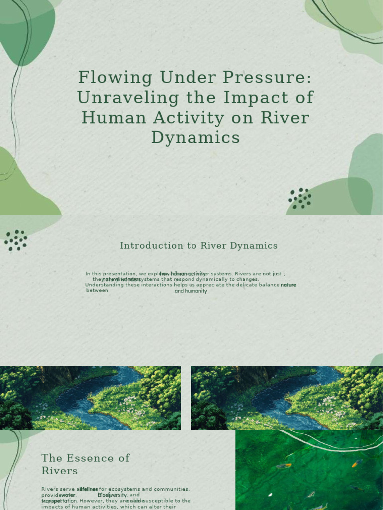 Human Impact on River Dynamics Explained | PDF | River | Ecological ...