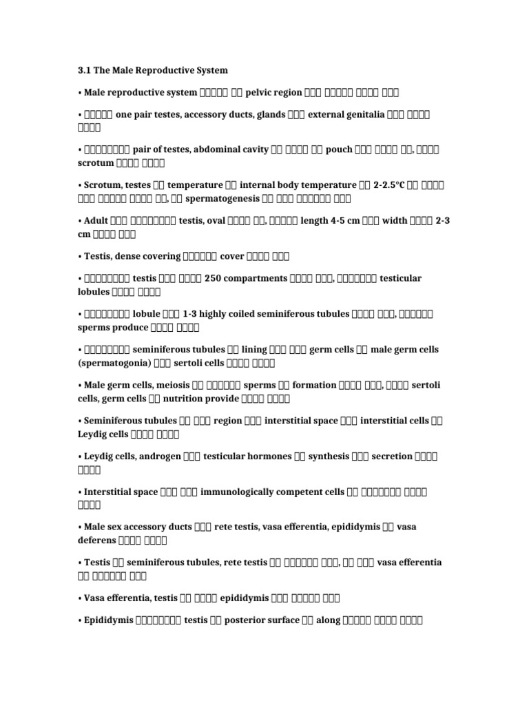 Male Reproductive System Notes | PDF