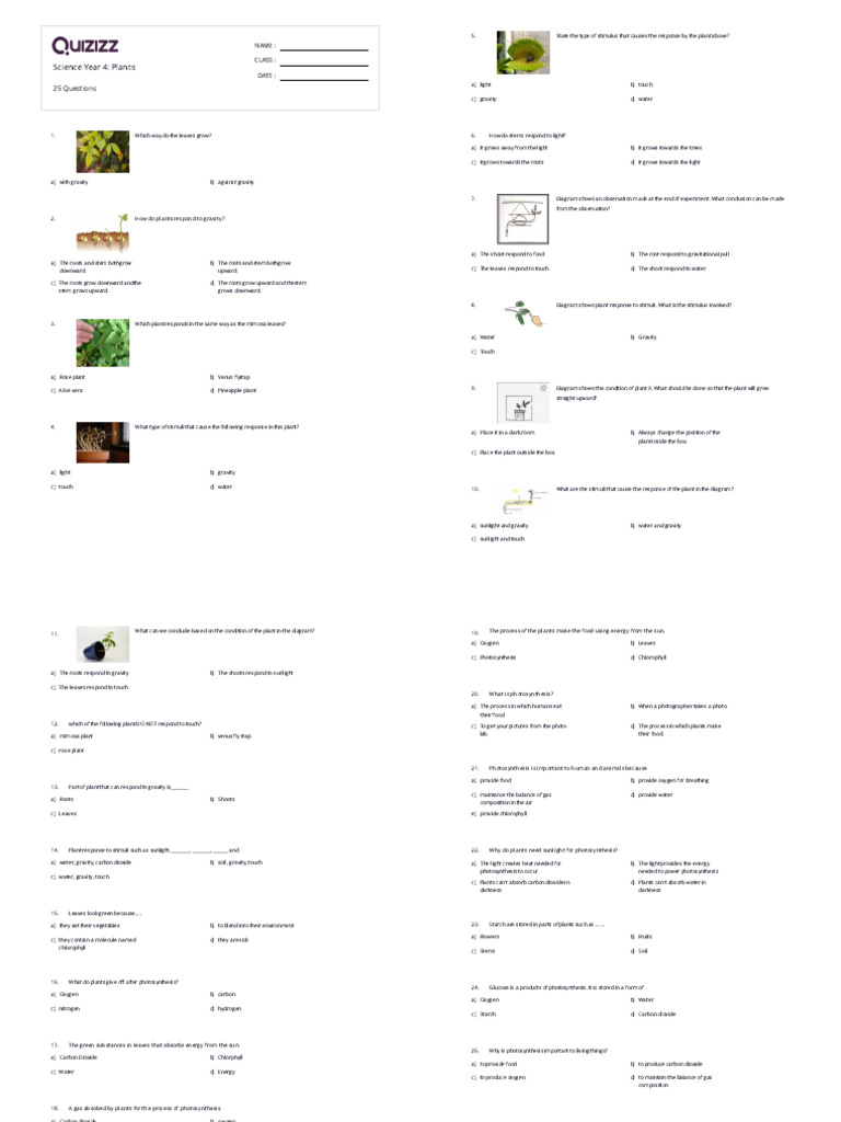 Science Year 4 - Plants - Print - Quizizz | PDF | Photosynthesis | Plants