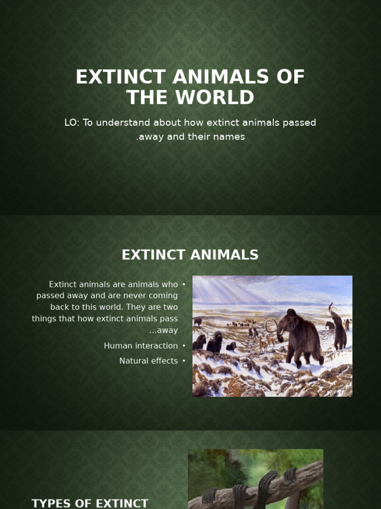 Extinct Animals of The World | PDF | Social Science | Young Adult