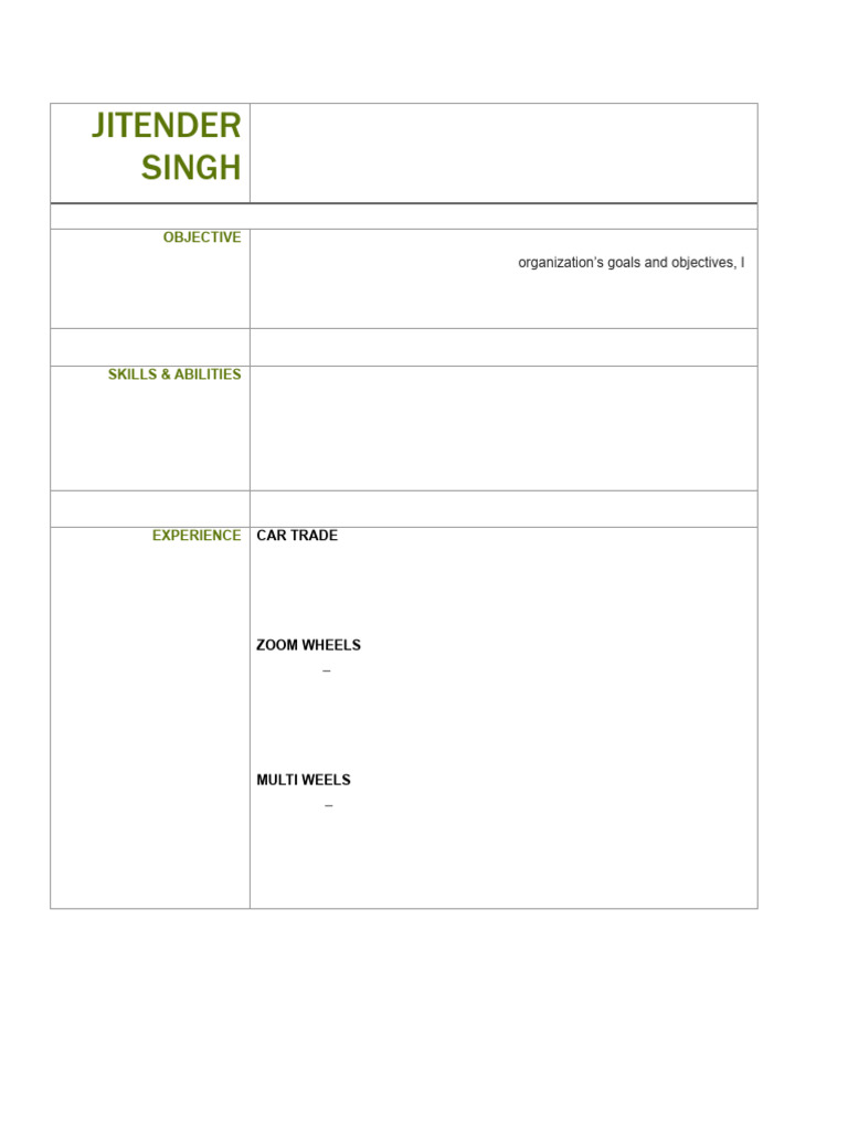 Jitender CV-26 | PDF