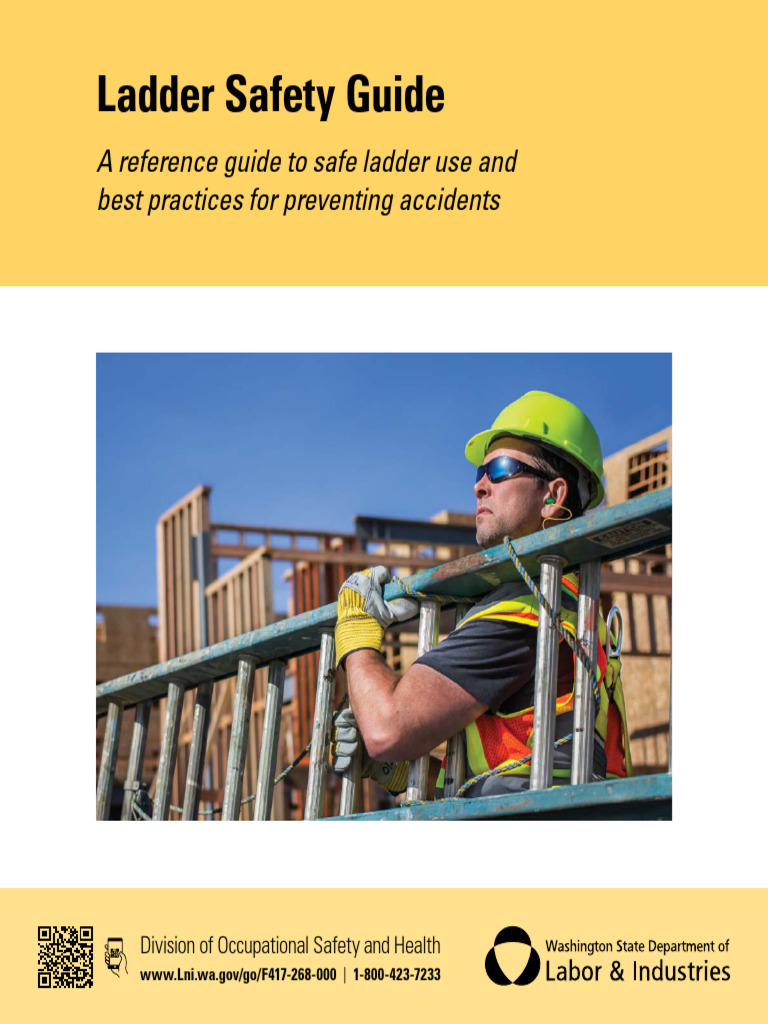 Ladder Safety Guide-F417-268-000 | PDF | Ladder | Occupational Safety And Health