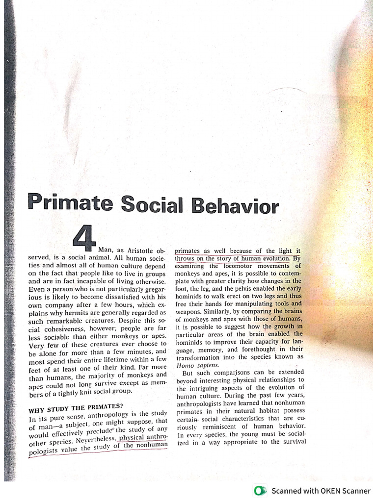 Primate Social Behaviour | PDF