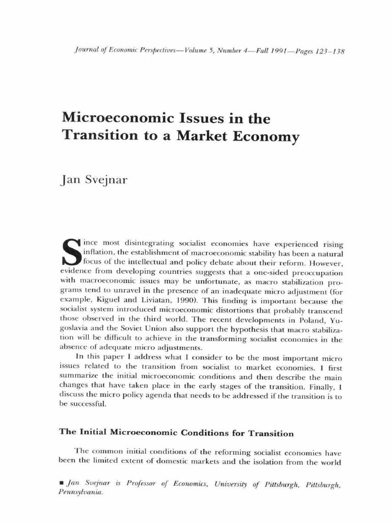 Microeconomic Issues in The Transition To A Market Economy | PDF