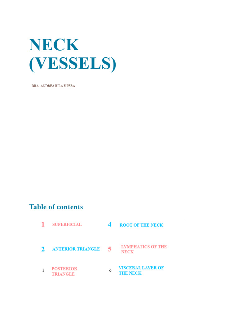 Neck Anatomy: Vessels and Nerves Overview | PDF | Common Carotid Artery ...